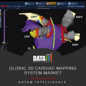 3D Cardiac Mapping System Market, Size, Share, Outlook and Growth ...