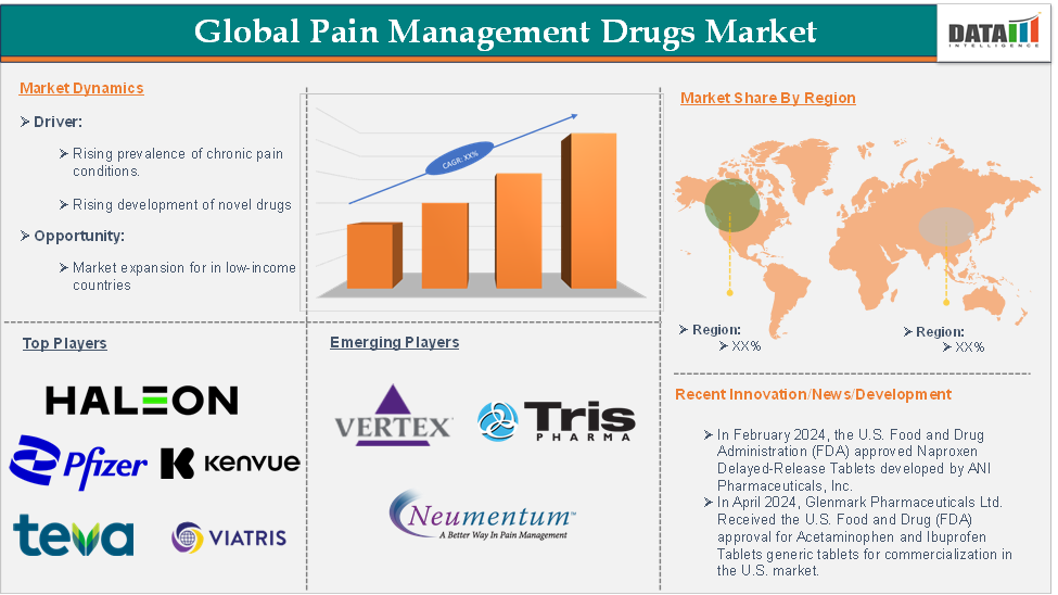 Pain Management Drugs Market Size, Share, Growth Insights and Report ...